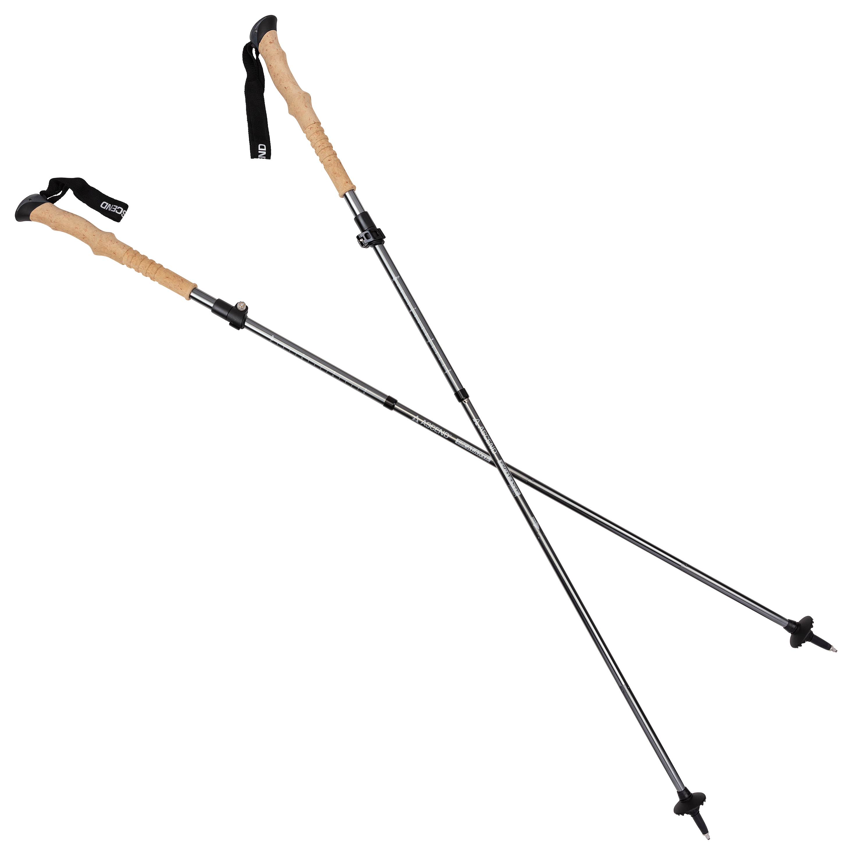 Ascend Escalante Compact Trekking Poles | Bass Pro Shops
